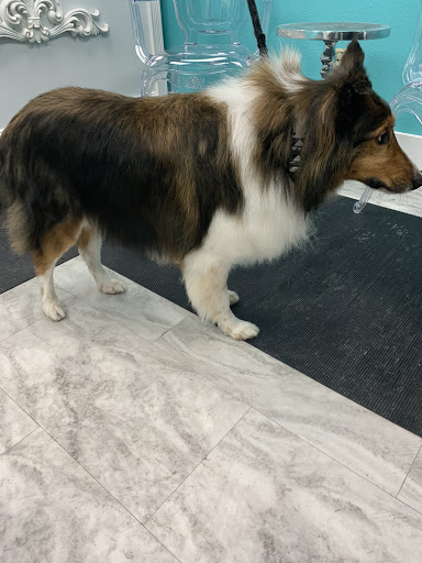 Pets R Inn | Rating: 4.1 | 284 Reviews | 2800 S Columbia Rd 123, Grand ...