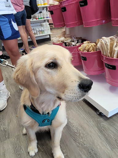 Camp Wagging Tails | Rating: 4.5 | 131 Reviews | 10835 Bailey Rd ...