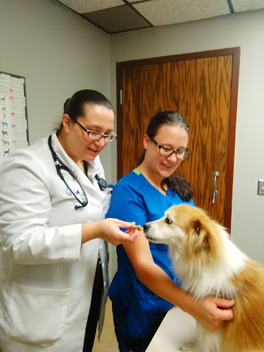 Pets R Inn | Rating: 4.0 | 505 Reviews | 3902 13th Ave S 3701, Fargo ...