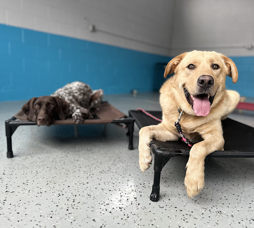 SpayToday Healthy Pet Center | Rating: 4.6 | 837 Reviews | 1401 Ammons ...