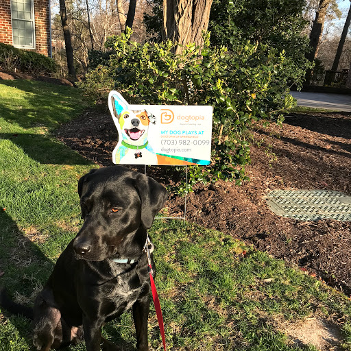 Olde Towne Pet Resort | Rating: 4.6 | 415 Reviews | 8101 Alban Rd ...