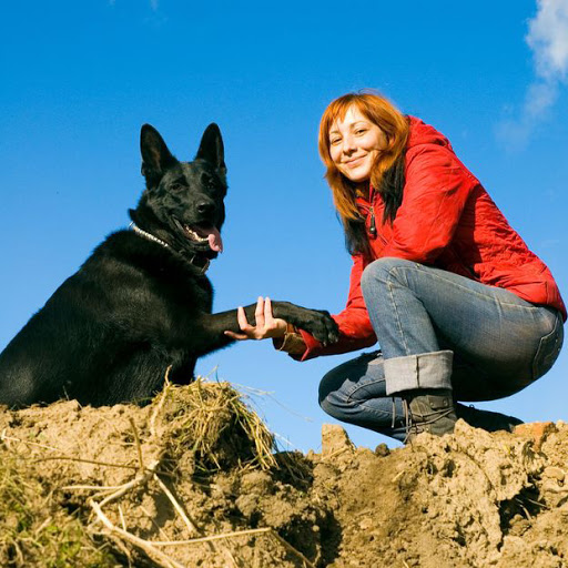 SpayToday Healthy Pet Center | Rating: 4.6 | 837 Reviews | 1401 Ammons ...
