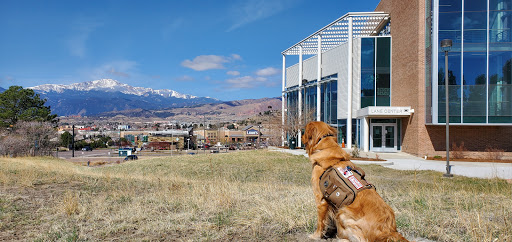 Camp Bow Wow | Rating: 4.6 | 272 Reviews | 1075 Ford St 120, Colorado ...