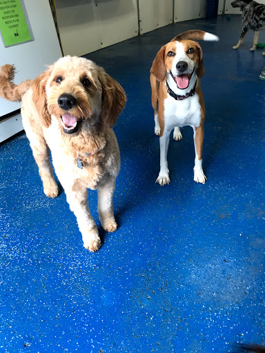 Wisconsin Humane Society Milwaukee Campus | Rating: 4.5 | 1729 Reviews ...