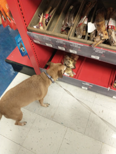 Pets R Inn | Rating: 4.0 | 505 Reviews | 3902 13th Ave S 3701, Fargo ...