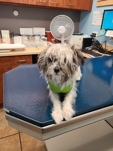 Bronx Veterinary Center | Rating: 4.3 | 1189 Reviews | 2460 Webster Ave ...
