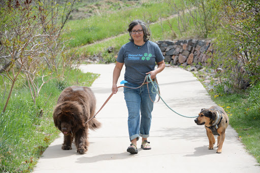 SpayToday Healthy Pet Center | Rating: 4.6 | 837 Reviews | 1401 Ammons ...
