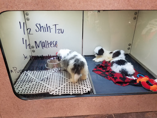 Pets R Inn | Rating: 4.0 | 505 Reviews | 3902 13th Ave S 3701, Fargo ...