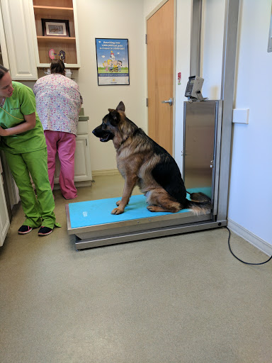 Summit Bridge Veterinary Hospital | Rating: 4.7 | 394 Reviews | 3930 ...