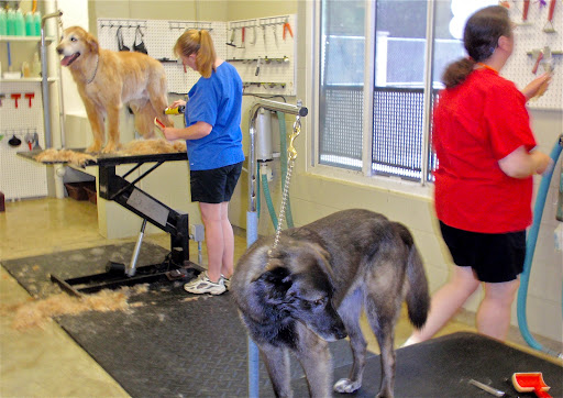 Pet Station Jackson | Rating: 4.3 | 659 Reviews | 1617 E Michigan Ave ...