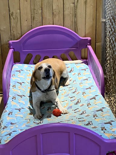 Operation Snip | Rating: 4.6 | 27 Reviews | 195 2nd St, Troy, NY 12180 ...