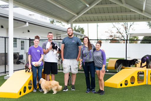 Greenville Humane Society | Rating: 4.5 | 2177 Reviews | 305 Airport Rd ...