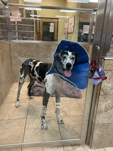 Denton Veterinary Center | Rating: 4.8 | 862 Reviews | 1901 Wind River ...