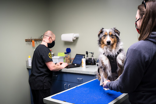 Humane Society of Missouri | Rating: 4.5 | 1253 Reviews | 1201 Macklind ...