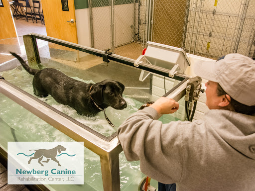 Newberg Animal Shelter | Rating: 4.5 | 138 Reviews | 1591 S Sandoz Rd ...