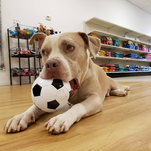 Humane Society of Missouri | Rating: 4.5 | 1253 Reviews | 1201 Macklind ...