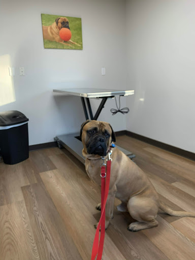 Safe Harbor Humane Society | Rating: 4.3 | 537 Reviews | 7811 60th Ave ...