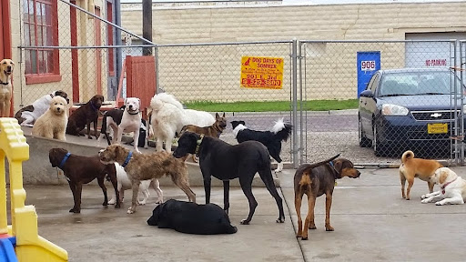 Kansas Humane Society | Rating: 4.5 | 3026 Reviews | 3313 N Hillside St ...