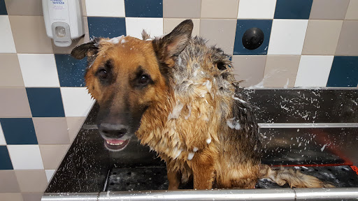 Safe Harbor Humane Society | Rating: 4.3 | 537 Reviews | 7811 60th Ave ...