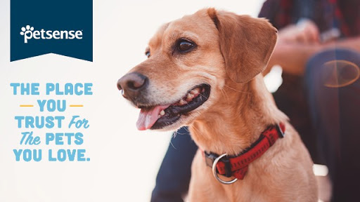 City Of Columbia Animal Services | Rating: 4.2 | 377 Reviews | 127 ...