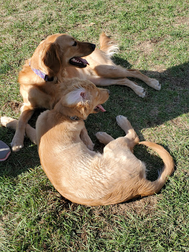 Pets R Inn | Rating: 4.0 | 505 Reviews | 3902 13th Ave S 3701, Fargo ...