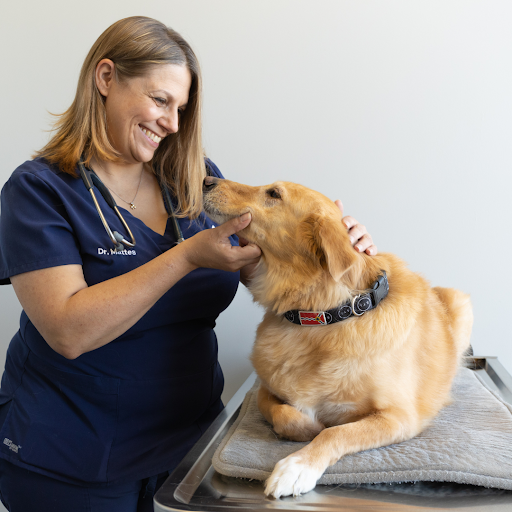 Humane Society of Missouri | Rating: 4.5 | 1253 Reviews | 1201 Macklind ...