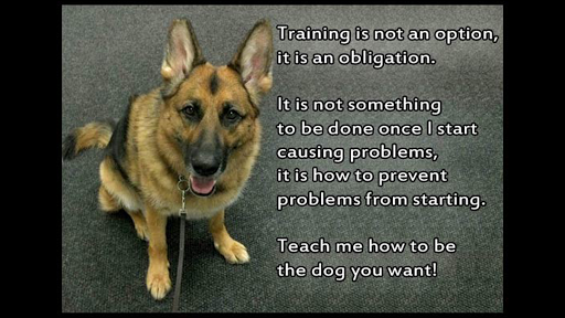 Pets R Inn | Rating: 4.0 | 505 Reviews | 3902 13th Ave S 3701, Fargo ...