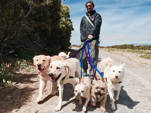 Peninsula Humane Society & SPCA | Rating: 4.6 | 417 Reviews | 12 ...