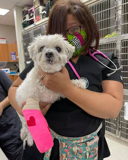 Midwest Animal Hospital | Rating: 3.7 | 684 Reviews | 11205 183rd Pl ...