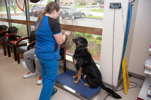 Waukesha Walk In Vet Clinic