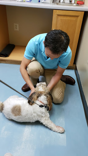 Providence Animal Center | Rating: 4.6 | 1441 Reviews | 555 Sandy Bank ...