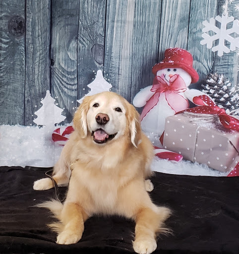 Pets R Inn | Rating: 4.1 | 284 Reviews | 2800 S Columbia Rd 123, Grand ...