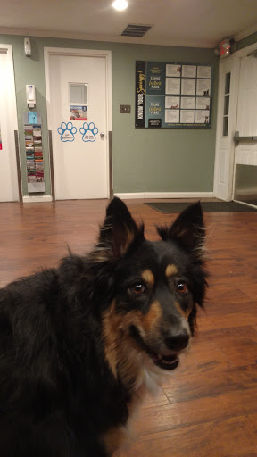 Providence Animal Center | Rating: 4.6 | 1441 Reviews | 555 Sandy Bank ...