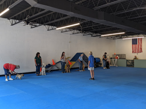 The Dog Play Spot | Rating: 4.9 | 456 Reviews | 2541 Carolina Beach Rd ...