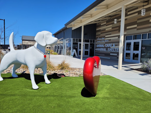 Peninsula Humane Society & SPCA | Rating: 4.6 | 417 Reviews | 12 ...