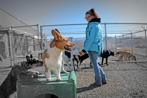 Grand Junction Humane Society