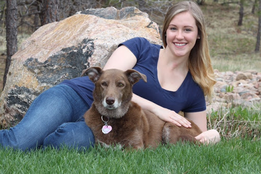 High Plains Veterinary Hospital | Rating: 4.8 | 627 Reviews | 4007 Tutt ...