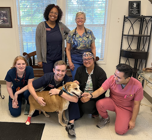 TAMU Veterinary Small Animal Hospital (VSAH) | Rating: 4.3 | 596 ...