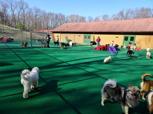 Candlewick Kennels | Rating: 4.8 | 301 Reviews | 2811 Hebron Ave ...