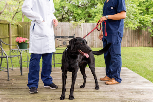 TAMU Veterinary Small Animal Hospital (VSAH) | Rating: 4.3 | 596 ...