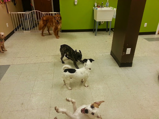UW Veterinary Care | Rating: 4.6 | 825 Reviews | 2015 Linden Dr ...