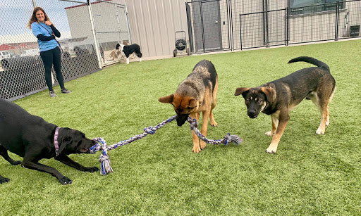 Pets R Inn | Rating: 4.0 | 505 Reviews | 3902 13th Ave S 3701, Fargo ...