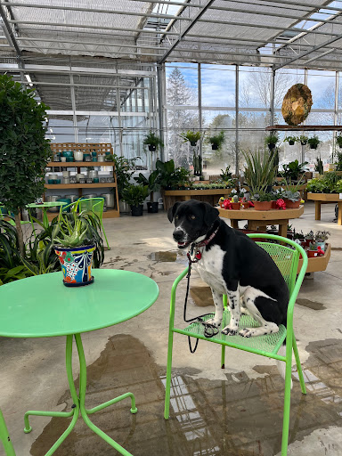 Angell Animal Medical Center | Rating: 4.4 | 1356 Reviews | 350 S ...