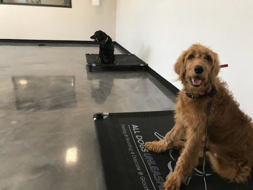 City Of Columbia Animal Services | Rating: 4.2 | 377 Reviews | 127 ...