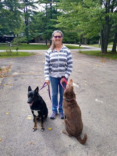 Countryside Veterinary Services of Fox Valley | Rating: 4.8 | 438 ...