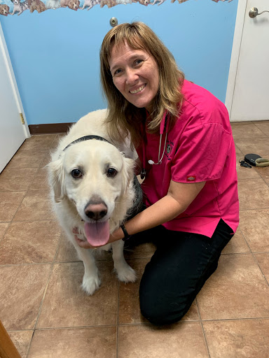Summit Bridge Veterinary Hospital | Rating: 4.7 | 394 Reviews | 3930 ...