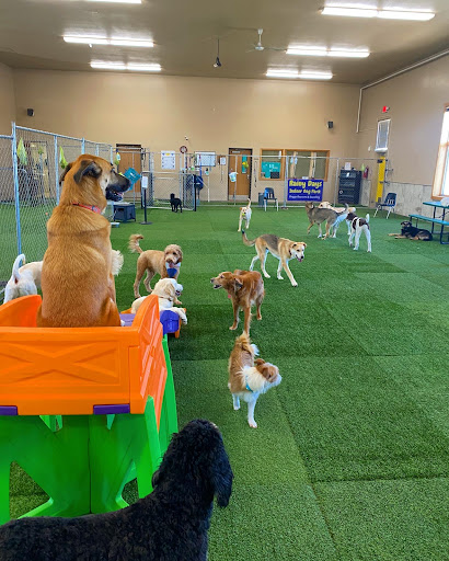 Pets R Inn | Rating: 4.0 | 505 Reviews | 3902 13th Ave S 3701, Fargo ...