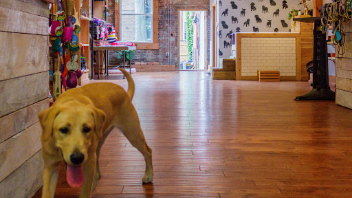 Operation Snip | Rating: 4.6 | 27 Reviews | 195 2nd St, Troy, NY 12180 ...