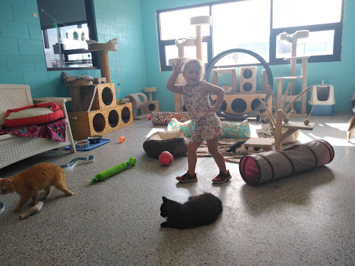 Safe Harbor Humane Society | Rating: 4.3 | 537 Reviews | 7811 60th Ave ...
