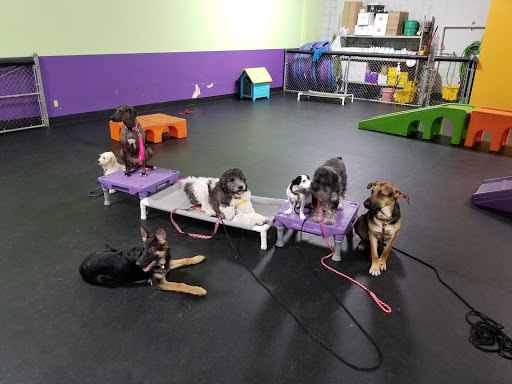 Safe Harbor Humane Society | Rating: 4.3 | 537 Reviews | 7811 60th Ave ...